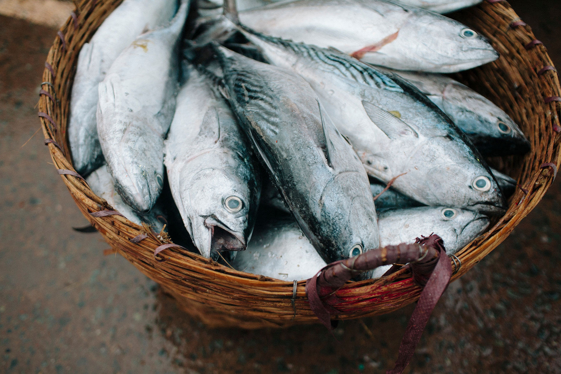 Dossier exclusif 60 Millions de consommateurs et WWF France : Poissons ...