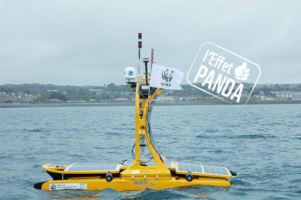 La robotique au secours des océans | WWF France