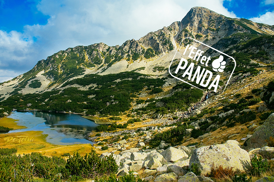 Pirin 1 - Station de ski 0 ! | WWF France