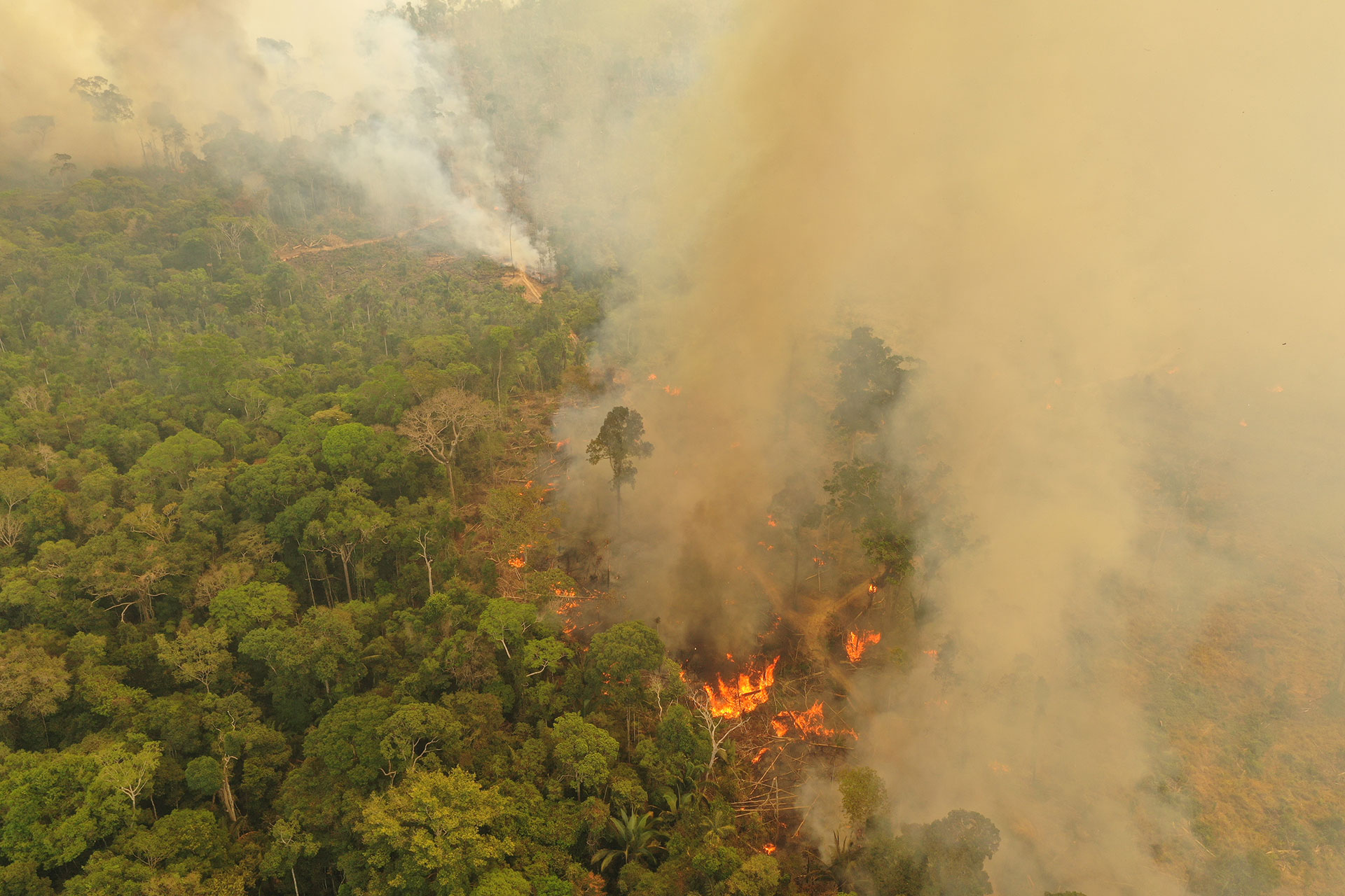 Lamazonie Brûle Nouveau Record Dincendies Au Brésil En Juin 2020