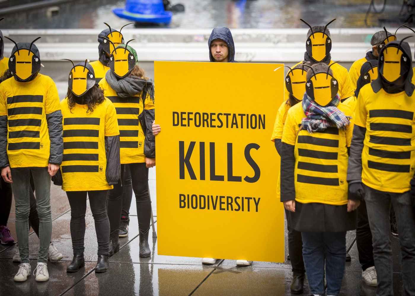 Élections Européennes 2014 | WWF France