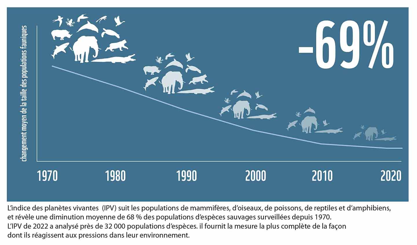 Les forêts au cœur de la préservation de la biodiversité Les forêts au cœur de la préservation de la biodiversité