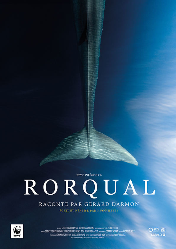 Le WWF présente "RORQUAL" : Son tout premier documentaire | WWF France