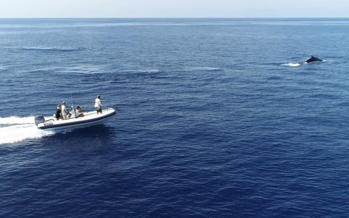 Bienvenue sur le site du WWF France | WWF France