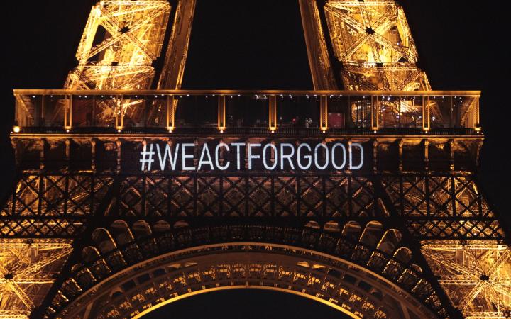 Ensemble, nous sommes la solution | WWF France