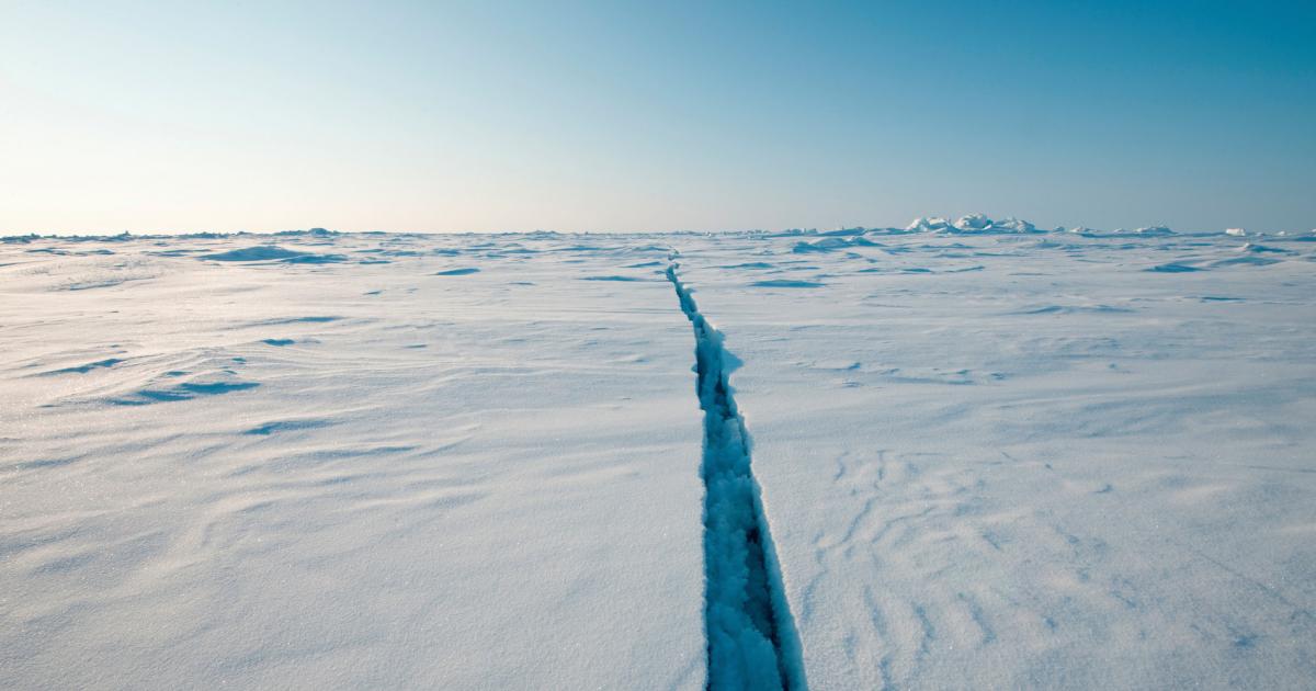 L'Arctique, une région sous pression | WWF France