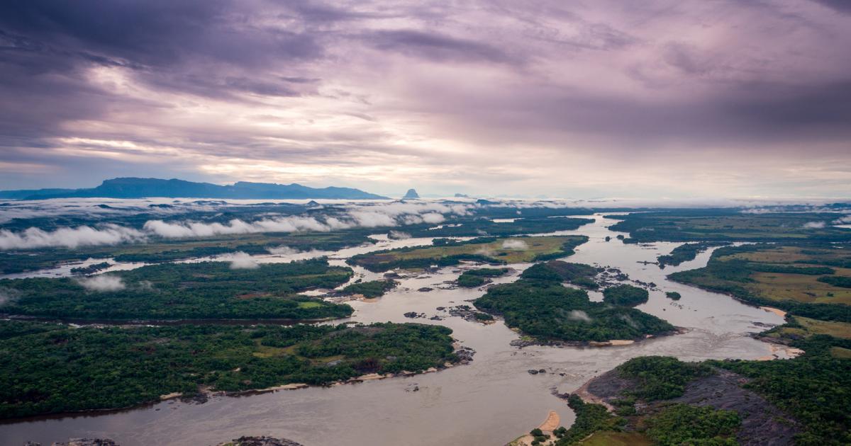 L'Orénoque, un bassin menacé | WWF France