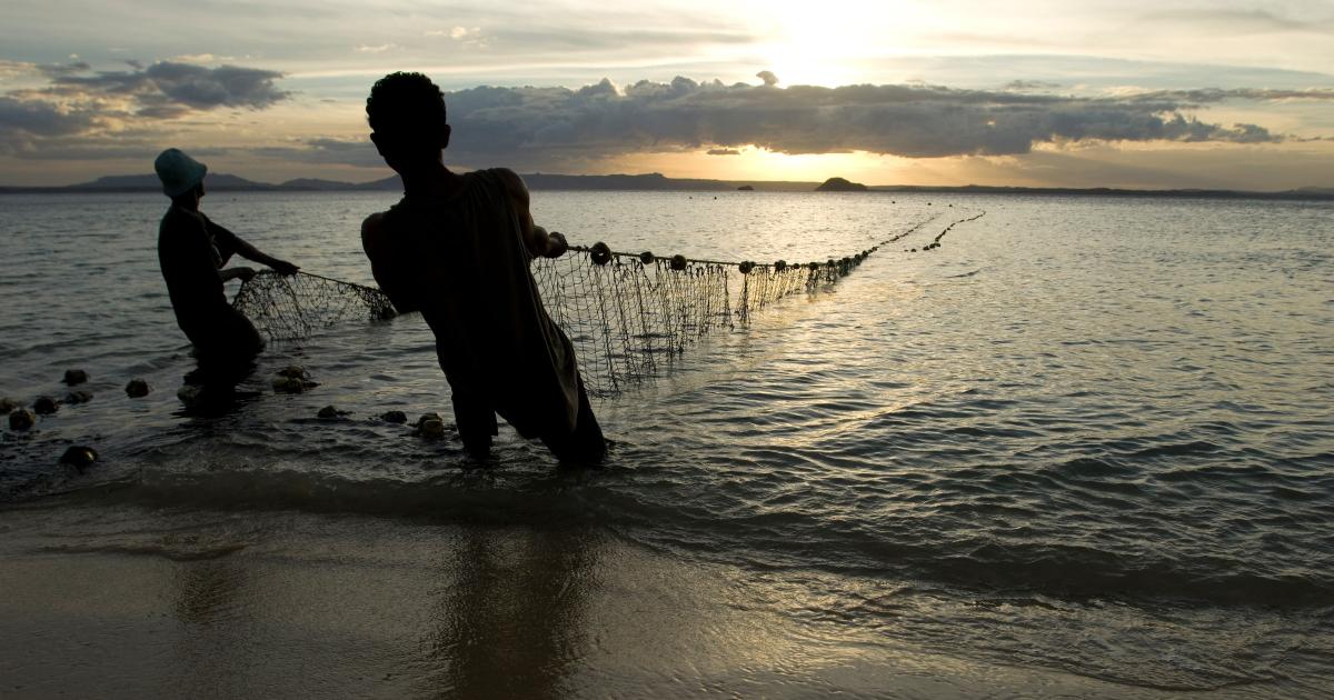 L'ADN et les valeurs du WWF France | WWF France