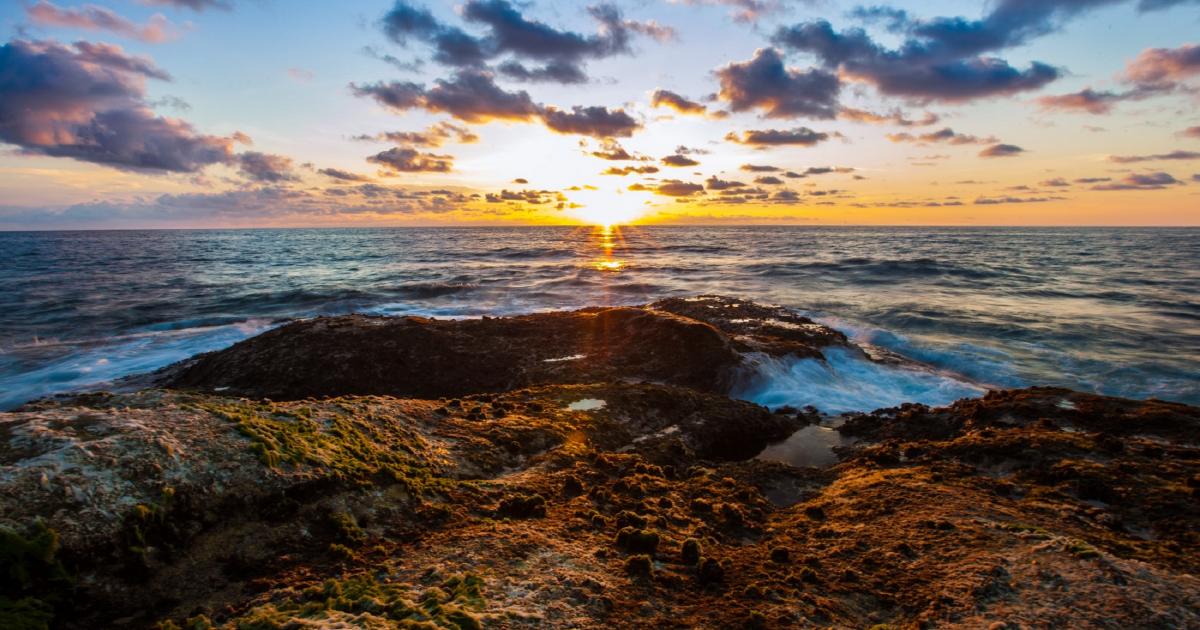 Le plus grand parc marin créé en Malaisie | WWF France