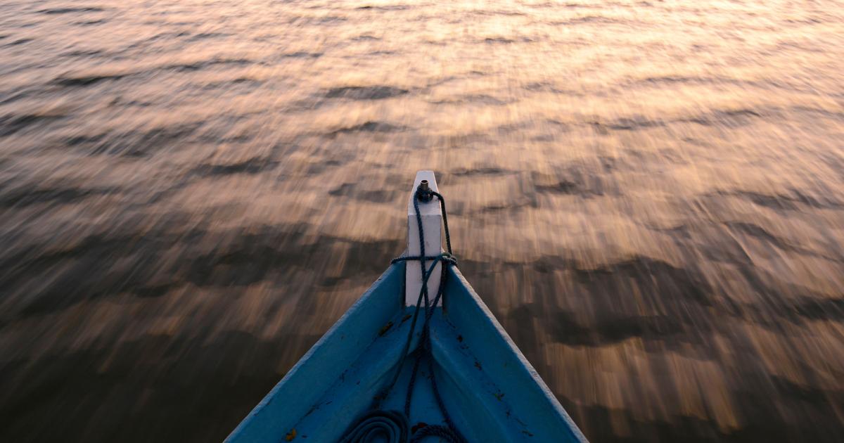 Nos champs d'action | WWF France