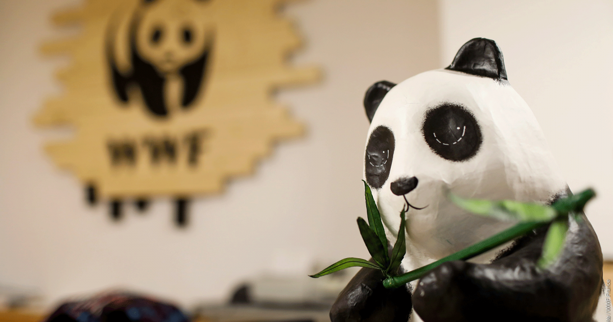 Qui sommes-nous ? Découvrir le WWF France | WWF France