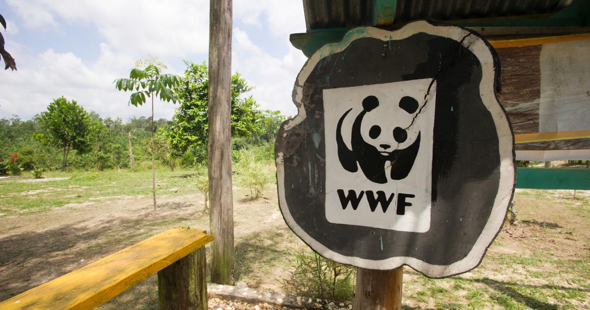 Une charte commune pour le réseau WWF | WWF France