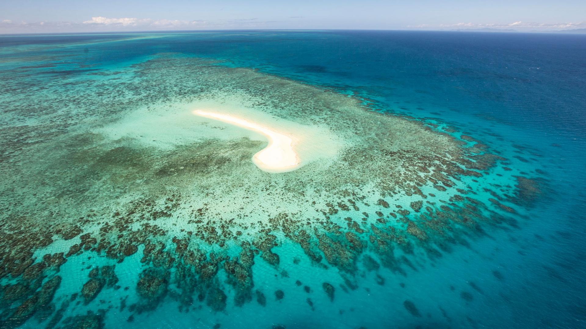 La Grande barrière de corail en alerte | WWF France