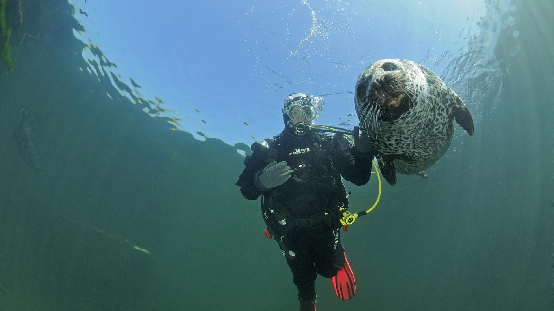 La mer Baltique, une mer sous pression | WWF France