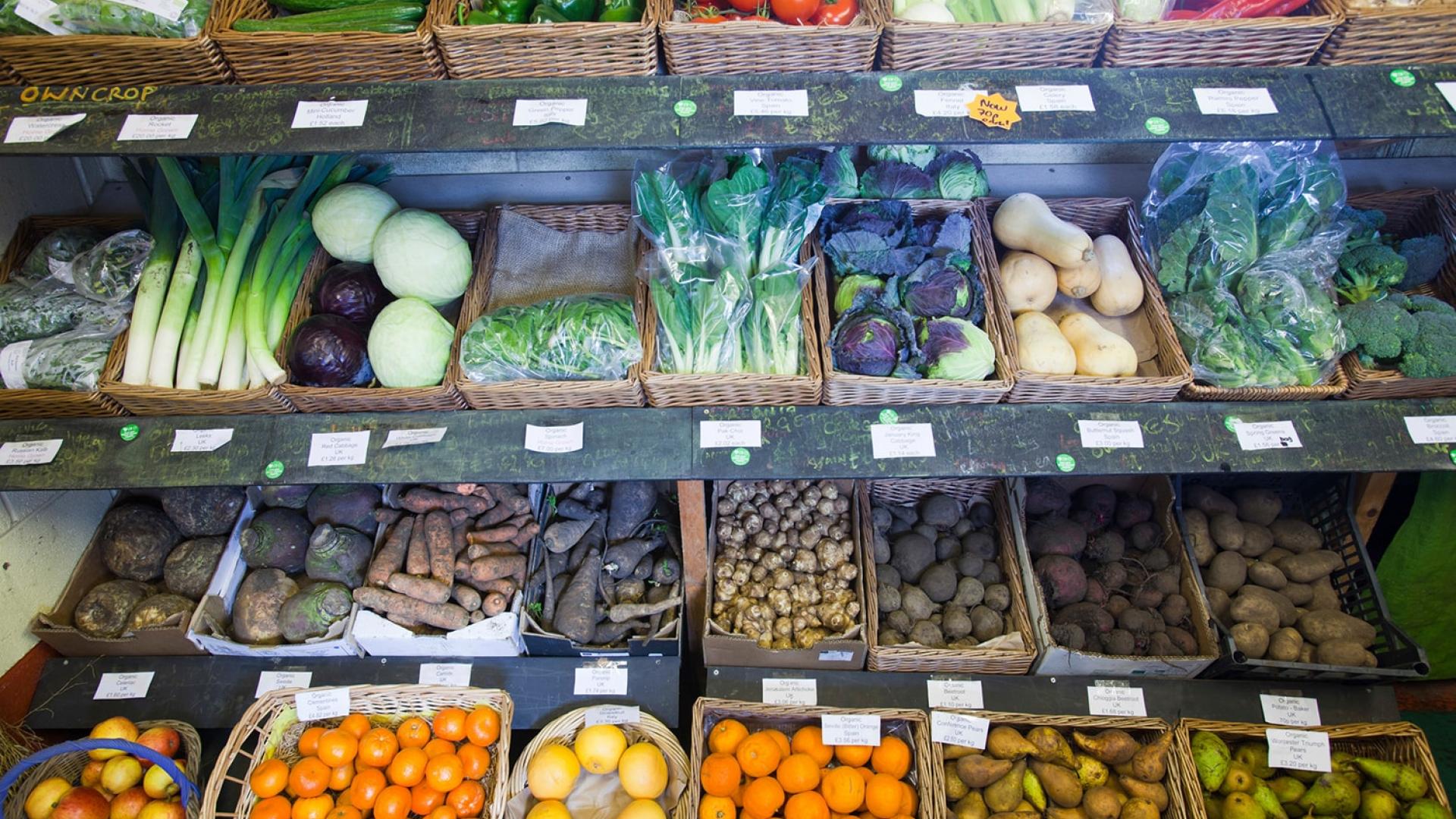 Alimentation : pour des systèmes durables | WWF France