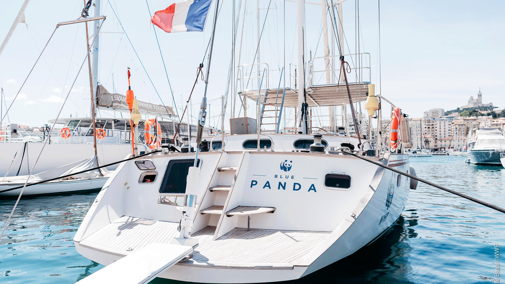 Blue Panda : notre voilier pour la Méditerranée | WWF France