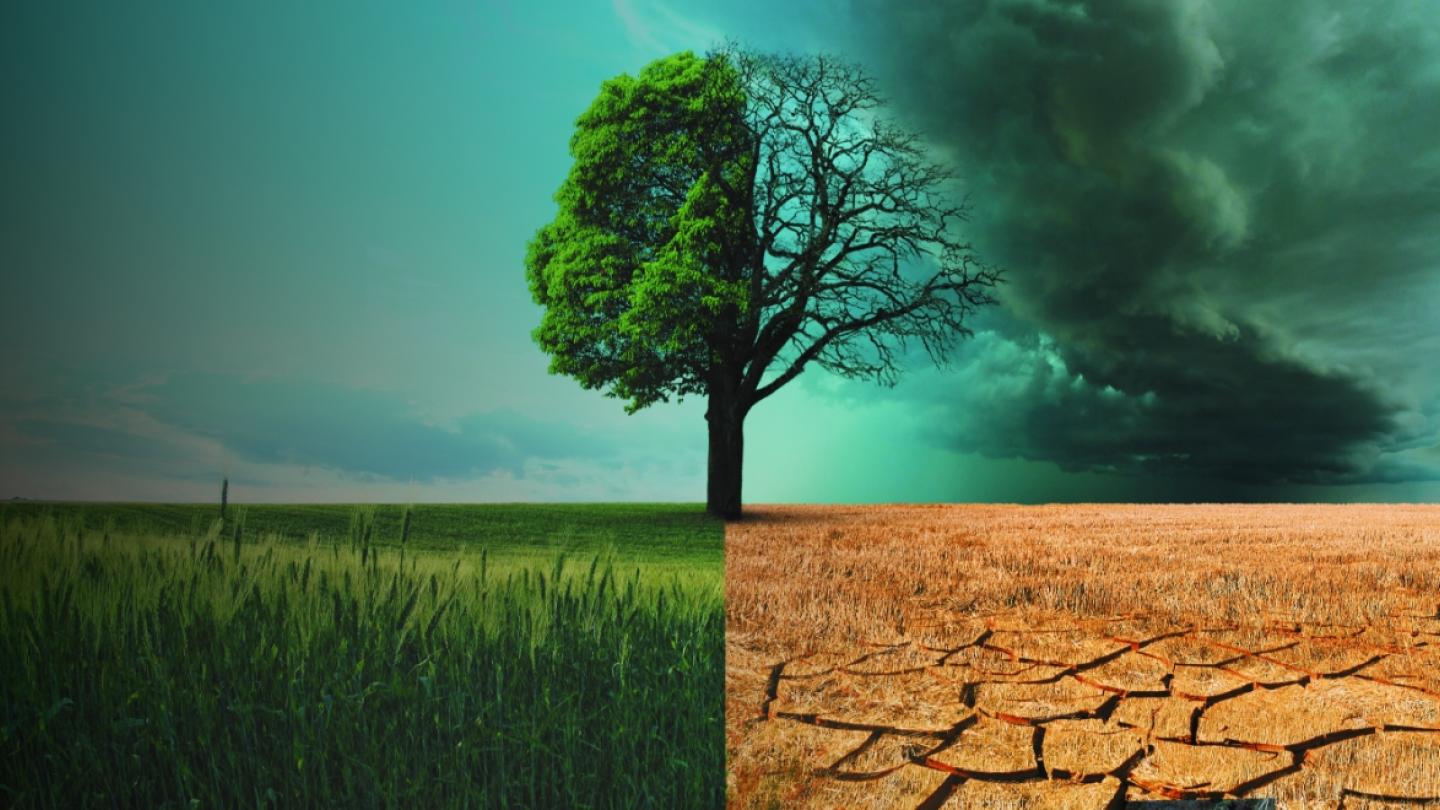 Sécheresse : comprendre pour agir | WWF France